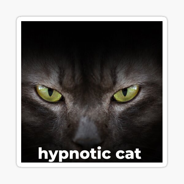 "Hypnotic Cat Eyes" Sticker by CorneliusDesign | Redbubble