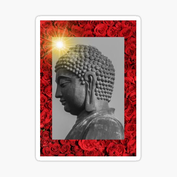 "'Buda in the Sun' With Red Rose flower Background" Sticker by ...