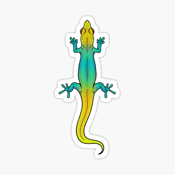 "Cameroon Dwarf Gecko - Lygodactylus conraui " Sticker by porpoisefully ...