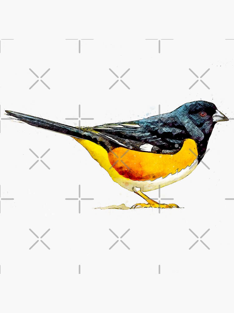 "Spotted Towhee - Wingspan Board Game" Sticker by Merchantgirl | Redbubble