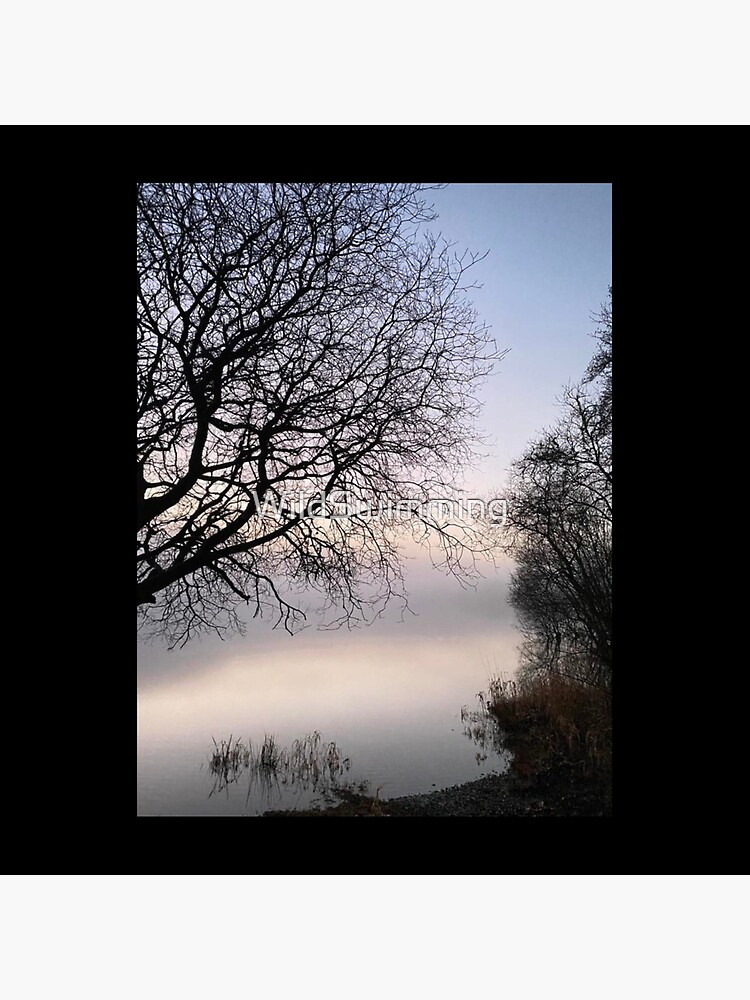 "Calm Picture of Tree with a Reflection of Water from Lake ...