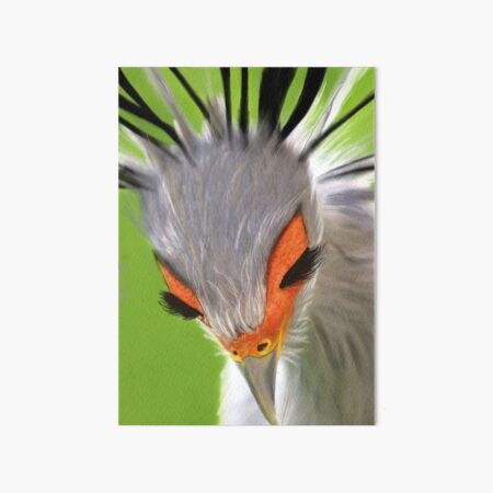 "Secretary bird Secretarybird Eyelash Bird Earth Day Appreciation Art ...