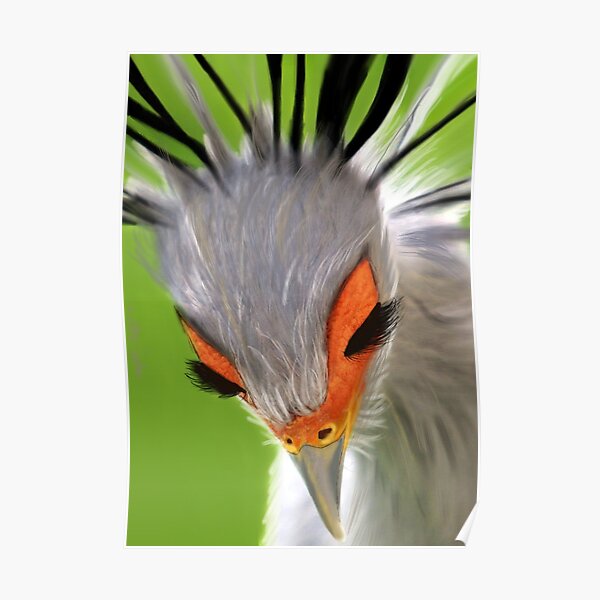 "Secretary bird Secretarybird Eyelash Bird Earth Day Appreciation Art ...