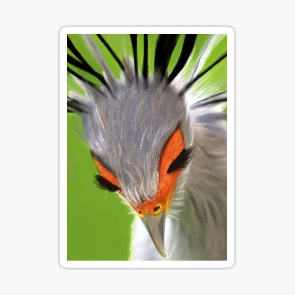 "Secretary bird Secretarybird Eyelash Bird Earth Day Appreciation Art ...