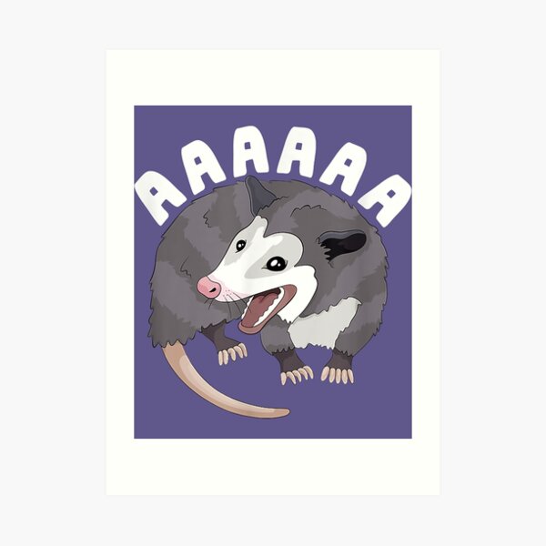 "Aaaaaa Screaming Opossum Stressed Possum Funny Dank Meme" Art Print by ...