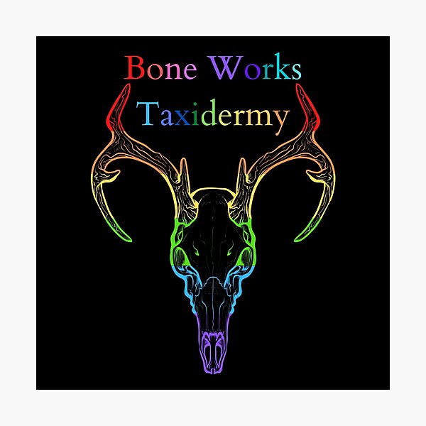 "Rainbow deer skull Bone Works Taxidermy logo" Photographic Print for ...