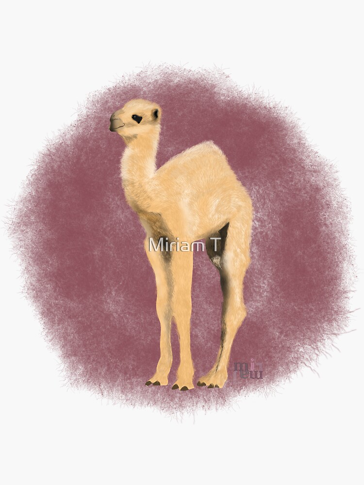 "Fluffy baby Camel" Sticker by emteekay20 | Redbubble