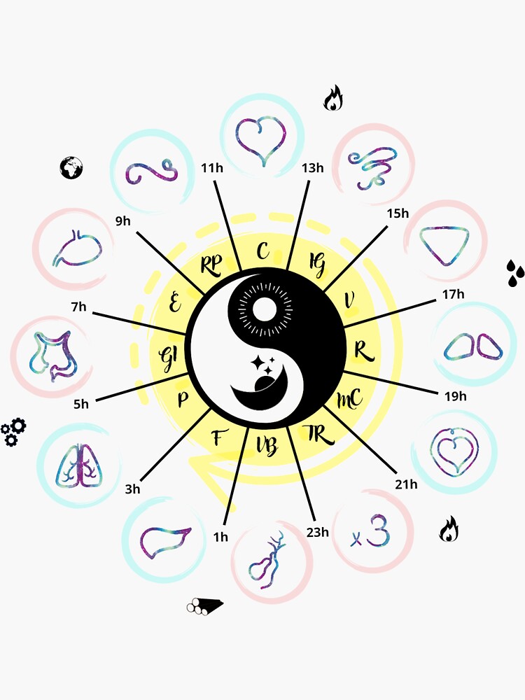 "Circadian clock of TCM meridians" Sticker by Jeanne-s-Snake | Redbubble