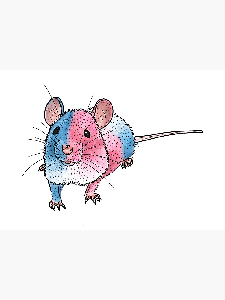 "Transgender mouse trans pride rat" Poster for Sale by kylepeterart ...