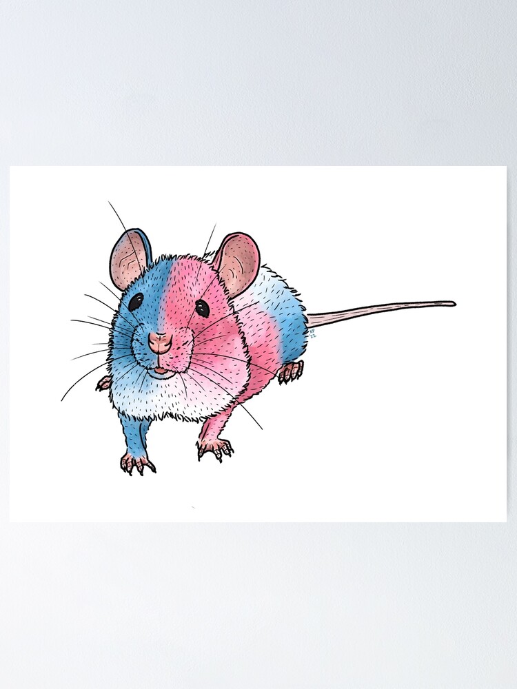 "Transgender mouse trans pride rat" Poster for Sale by kylepeterart ...