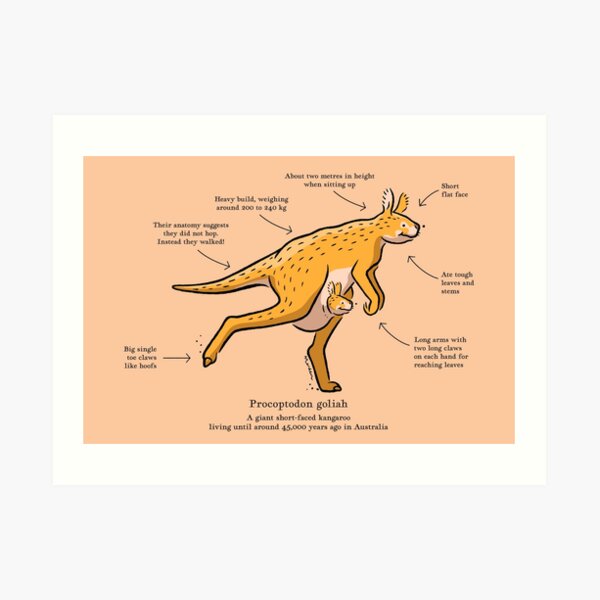 "Procoptodon goliah the prehistoric giant kangaroo" Art Print by morden ...