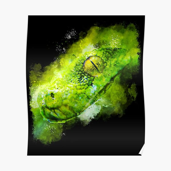 "Green Tree Python Watercolor" Poster for Sale by KemeDesign | Redbubble