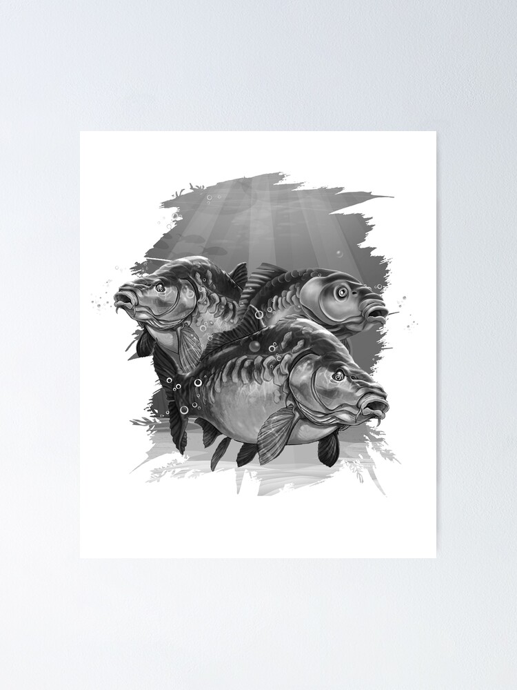 "Carp Fish" Poster for Sale by TheWienerArt | Redbubble