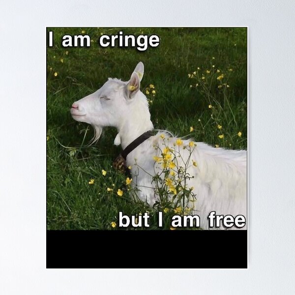 "I am cringe but I am free" Poster for Sale by Jason0Walker | Redbubble