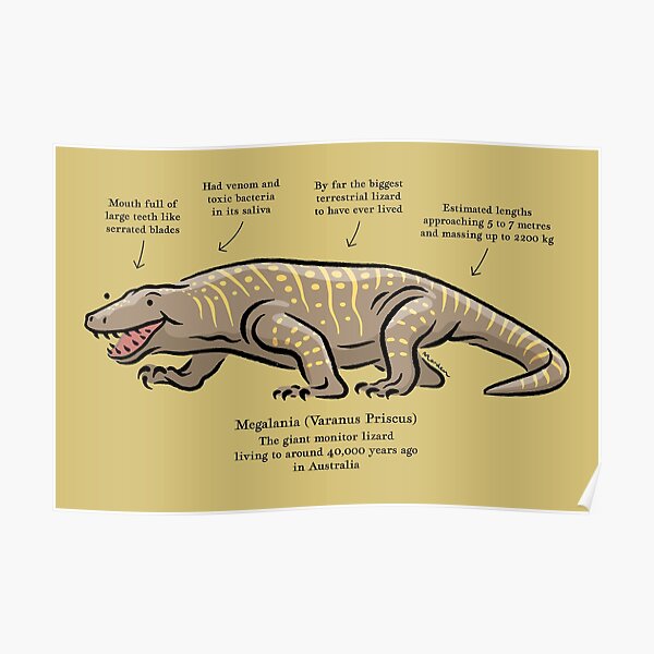 "Megalania the prehistoric giant lizard" Poster by morden | Redbubble