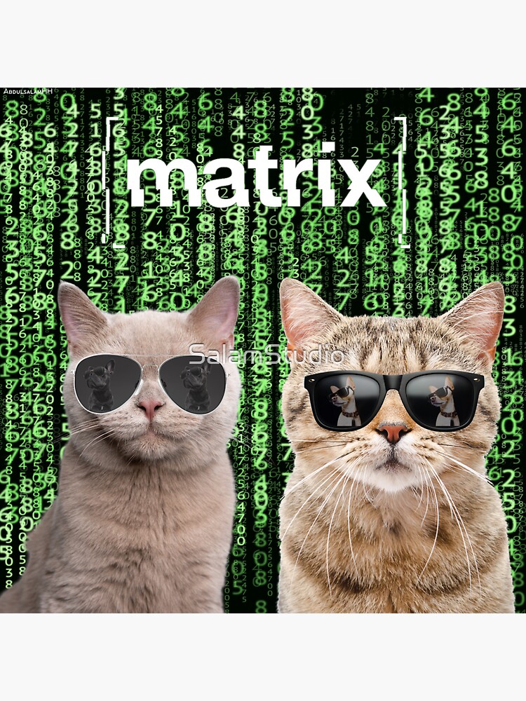 "Cat matrix" Sticker for Sale by SalamStudio | Redbubble