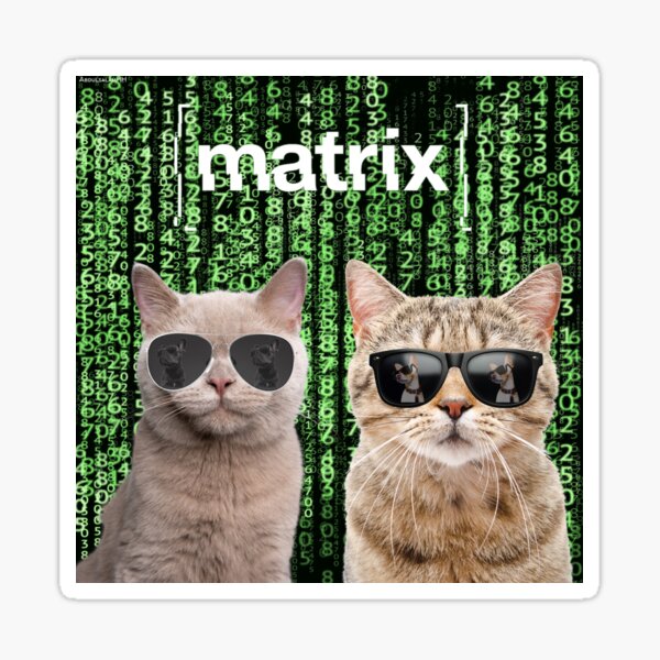 "Cat matrix" Sticker for Sale by SalamStudio | Redbubble