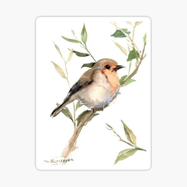 "Robin Bird" Sticker for Sale by surenart | Redbubble