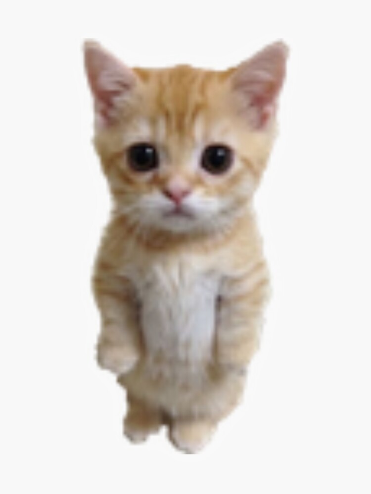 "El Gato Meme" Sticker for Sale by Cool-Casez | Redbubble