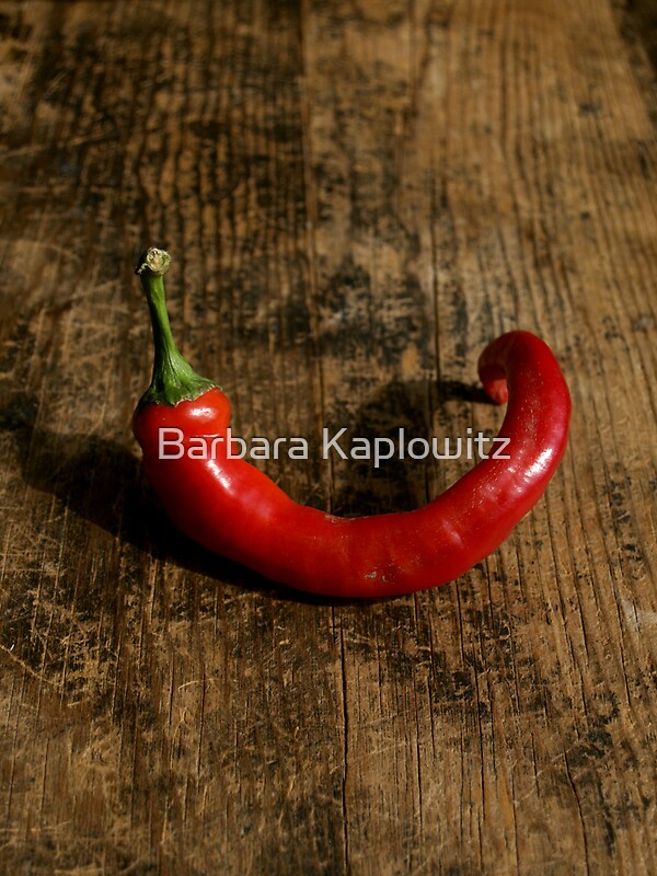 "Lone Chili" by Barbara Kaplowitz | Redbubble