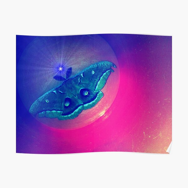 "Follow The Stars" Poster for Sale by InfinityBall | Redbubble