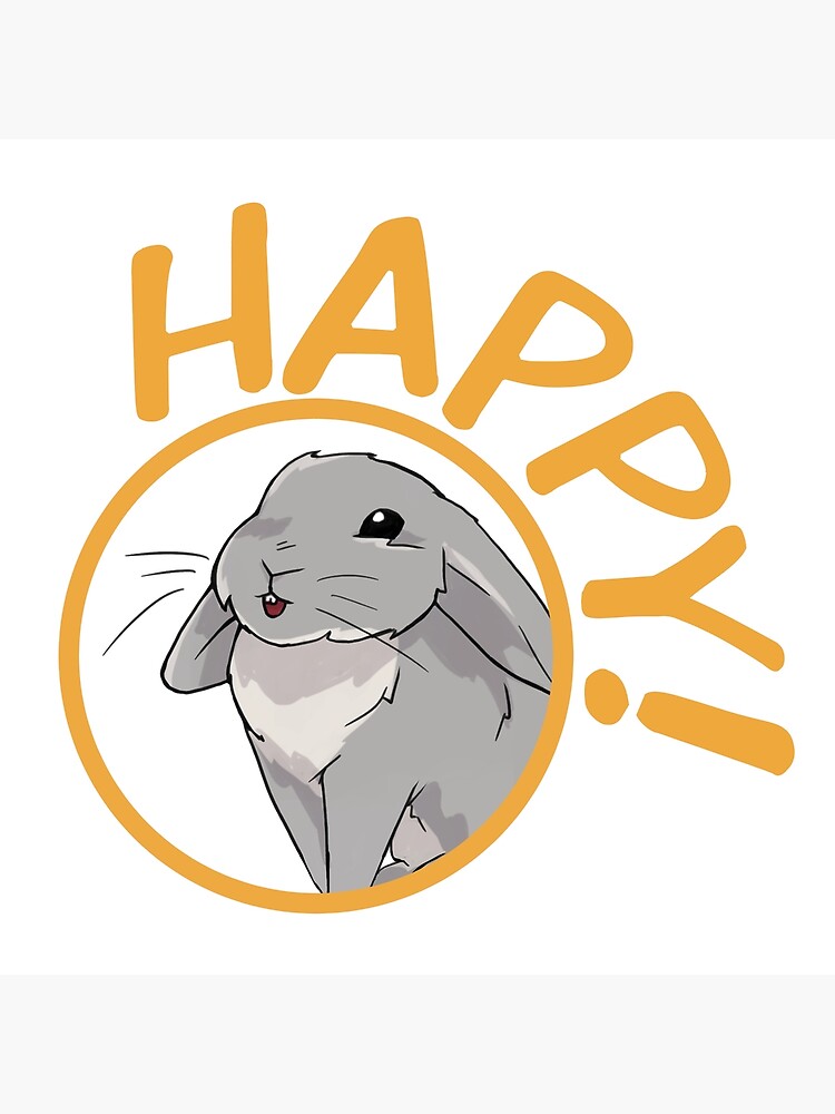 "Happy Fluffy Bunny" Poster for Sale by thebunnylady | Redbubble