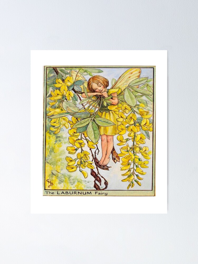 "Cicely Mary Barker Laburnum Fairy (1940)" Poster for Sale by ...