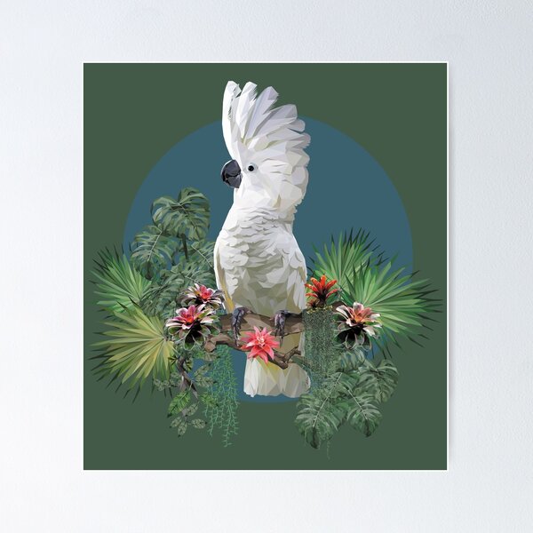 "Aestethic Geometric Umbrella Cockatoo" Poster for Sale by senpaibunny ...