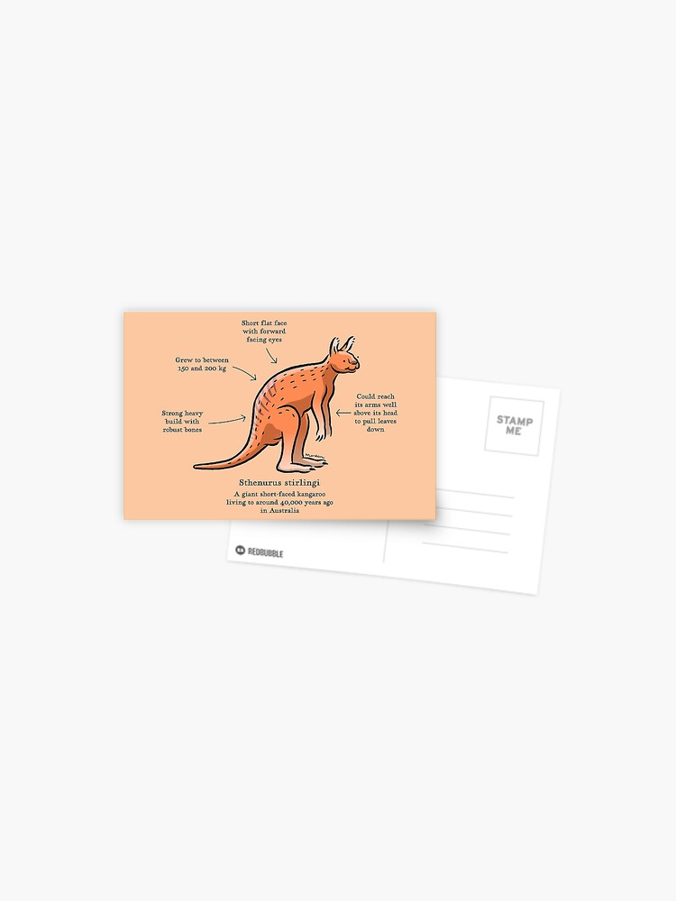 "Sthenurus stirlingi the prehistoric giant kangaroo" Postcard for Sale ...