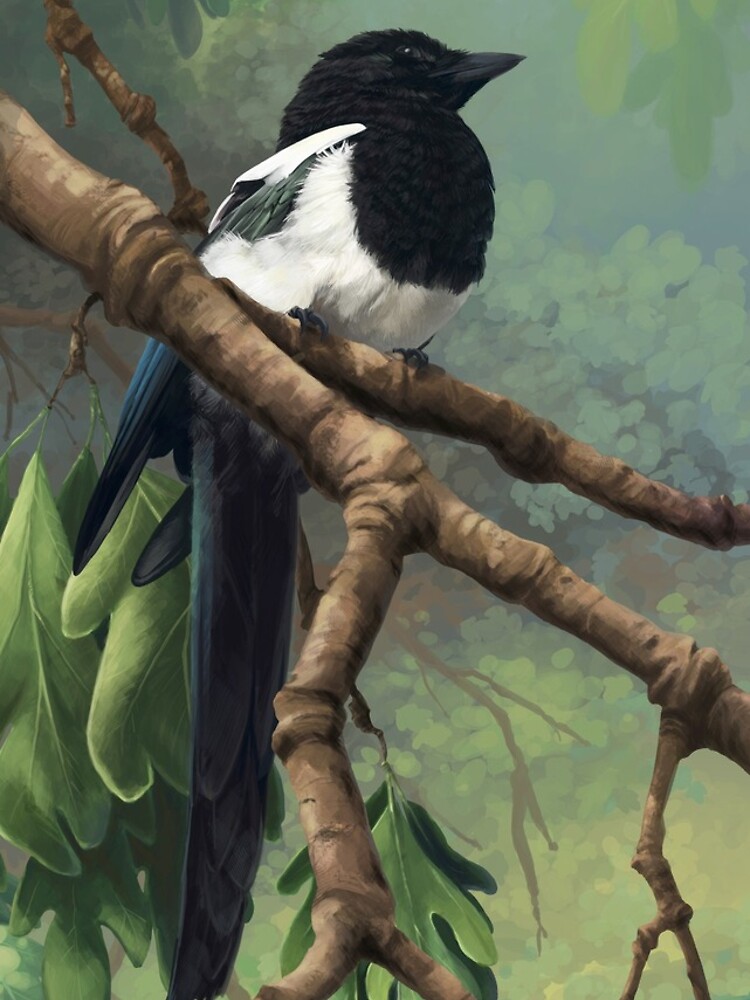 "Magpie" iPhone Case for Sale by zetallis | Redbubble