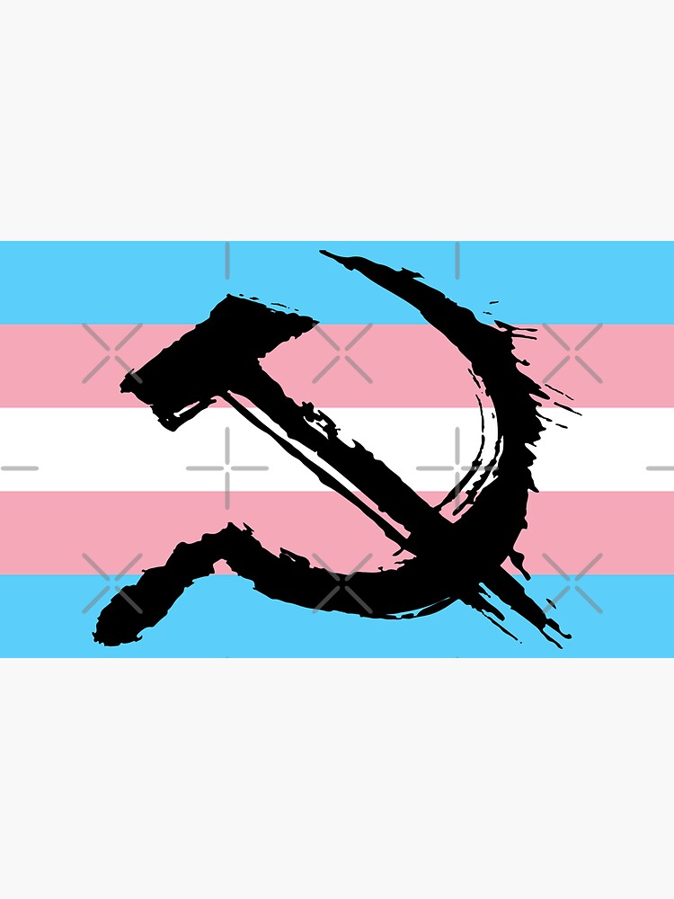 "Painted Communist Trans Flag| Transgender| LGBTQ+| Don't Say Gay Bill ...
