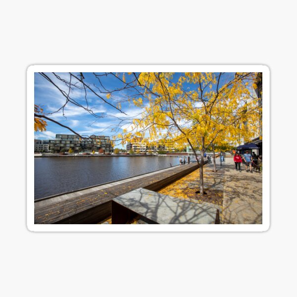 "Autumn tree colours Canberra Australia" Sticker by martinberry | Redbubble