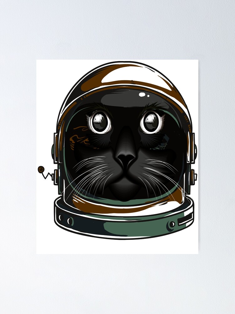 Póster «Formas sencillas que utilizan los profesionales para promocionar a Doja Cat» de ...