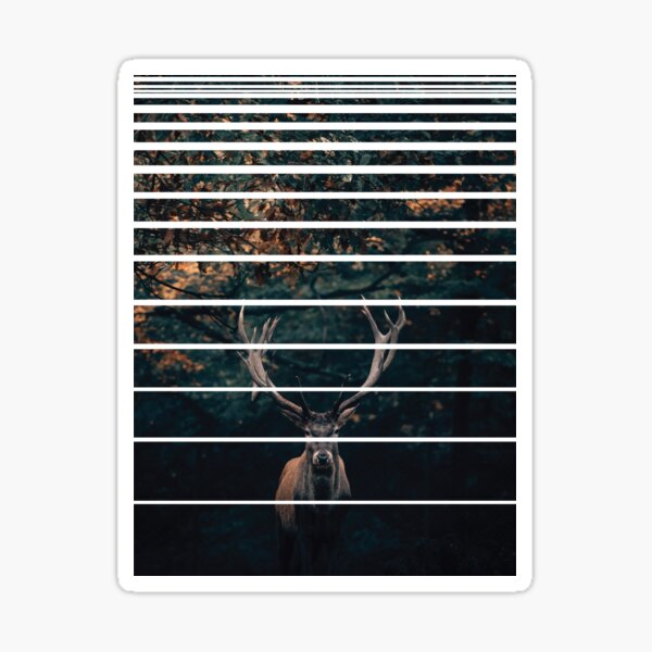 " Stag" Sticker by olafekry | Redbubble