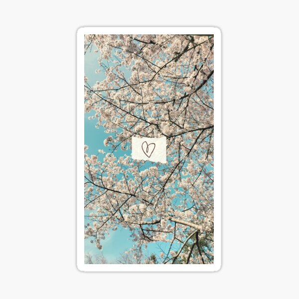 "Cherry Blossom Spring Design - White/ Love" Sticker by EllieLouMoon ...