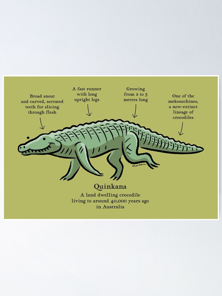 "Quinkana the long legged crocodile of ice-age Australia" Poster by ...