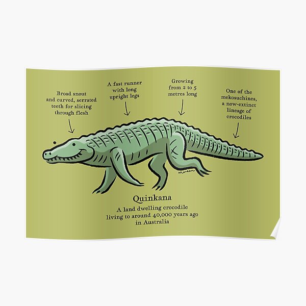 "Quinkana the long legged crocodile of ice-age Australia" Poster by ...
