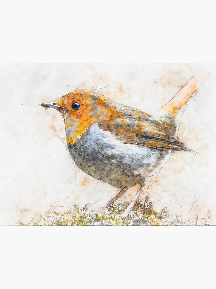 "Hand Drawn, Digital Painted Red Breasted Robin" Sticker for Sale by ...