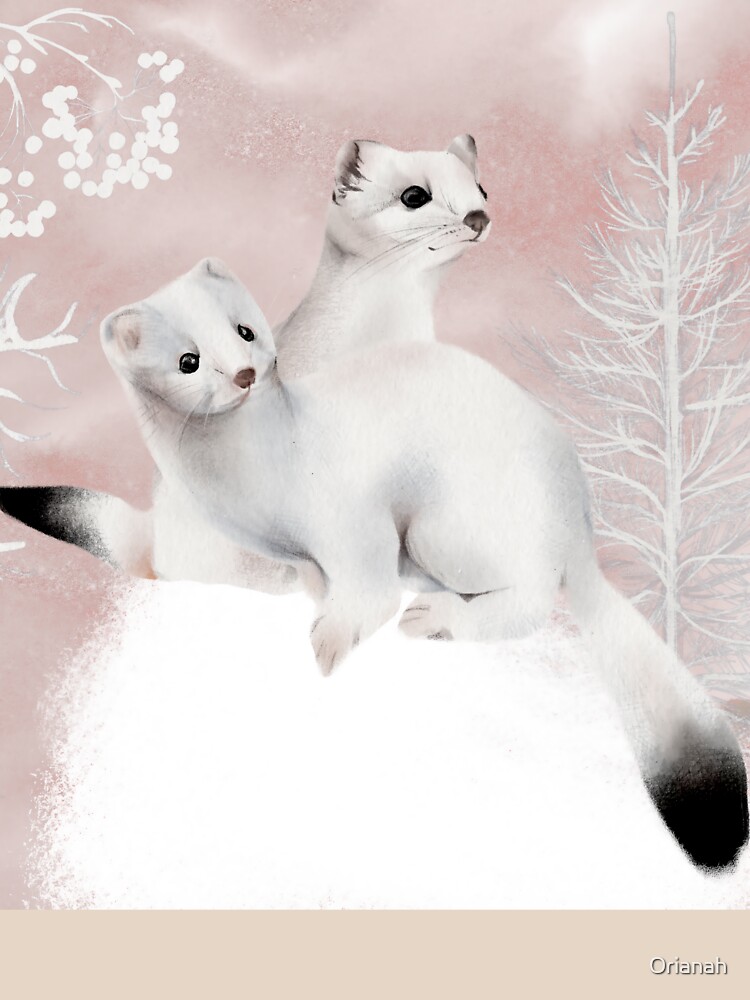 "Cute Weasels in a White and Pastel Pink Winter Paradise" T-shirt for ...