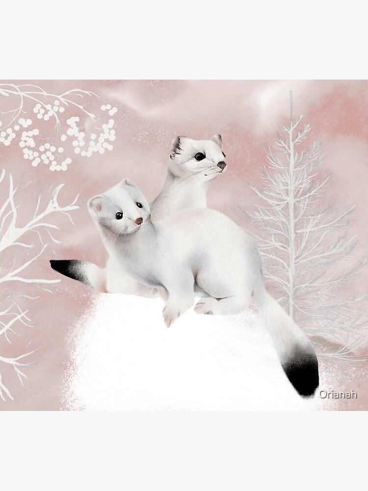 "Cute Weasels in a White and Pastel Pink Winter Paradise" Poster for ...
