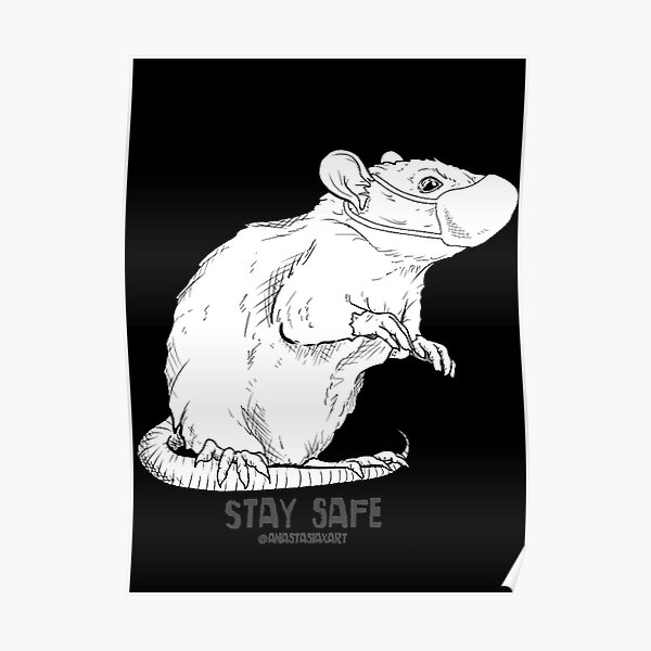 "Stay Safe Rat " Poster for Sale by RobertRobe9377 | Redbubble