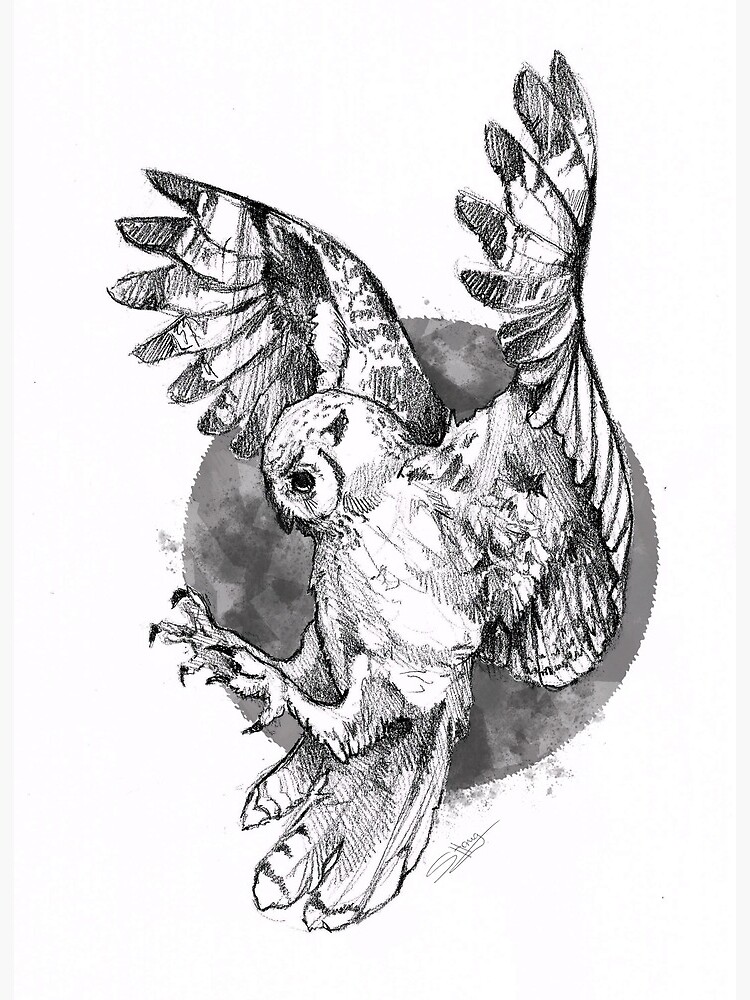 "owl on the hunt" Art Board Printundefined by Sandrina Haug | Redbubble