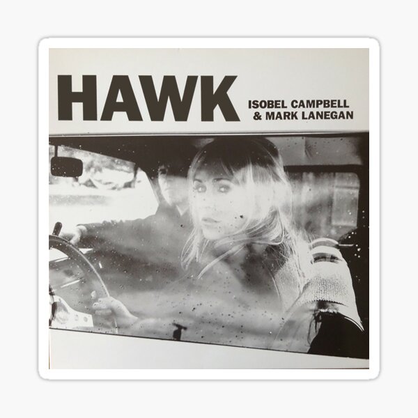 "hawk" Sticker by declankoe | Redbubble