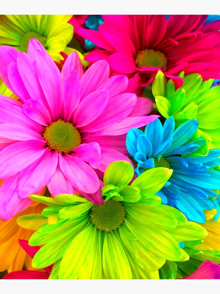 "The Best Flowers Ever" Poster by musta2fa | Redbubble