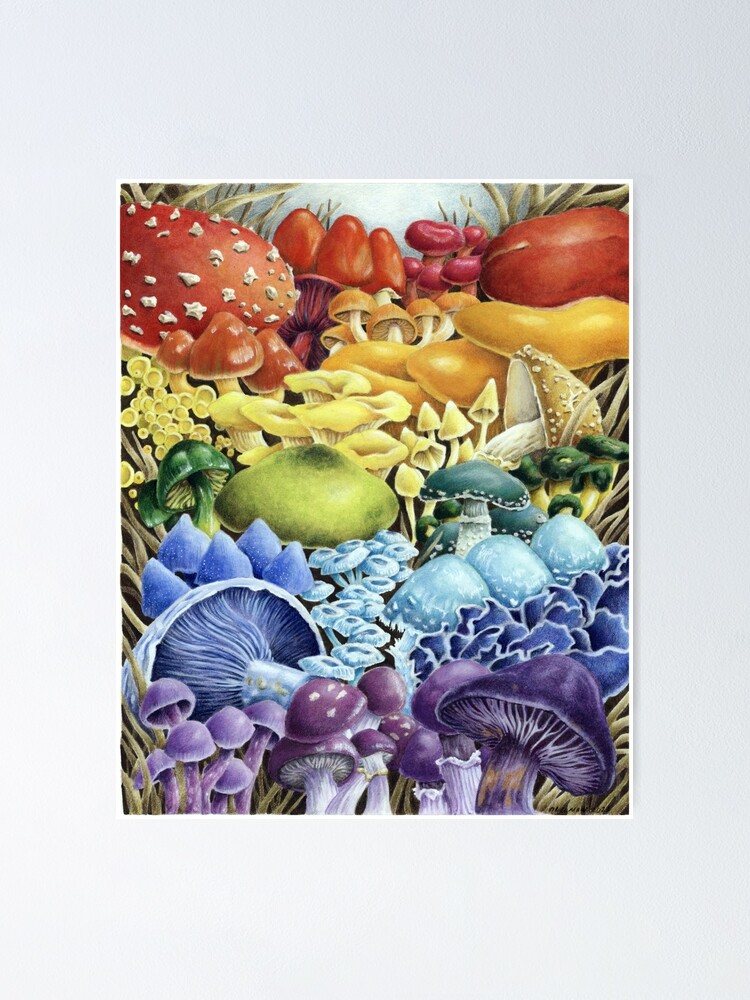 "Rainbow Mushrooms" Poster by hnewmanart | Redbubble