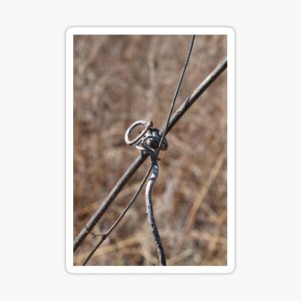 "Knot" Sticker by eloise28 | Redbubble