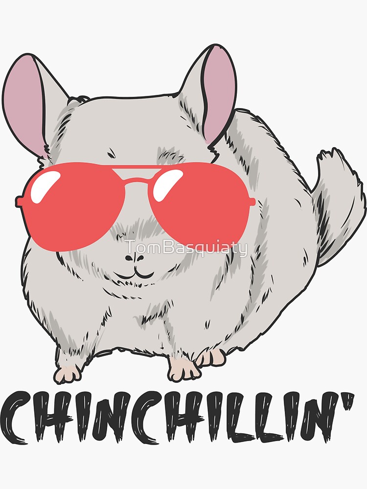 "Chinchillin Chinchilla" Sticker by TomBasquiaty | Redbubble