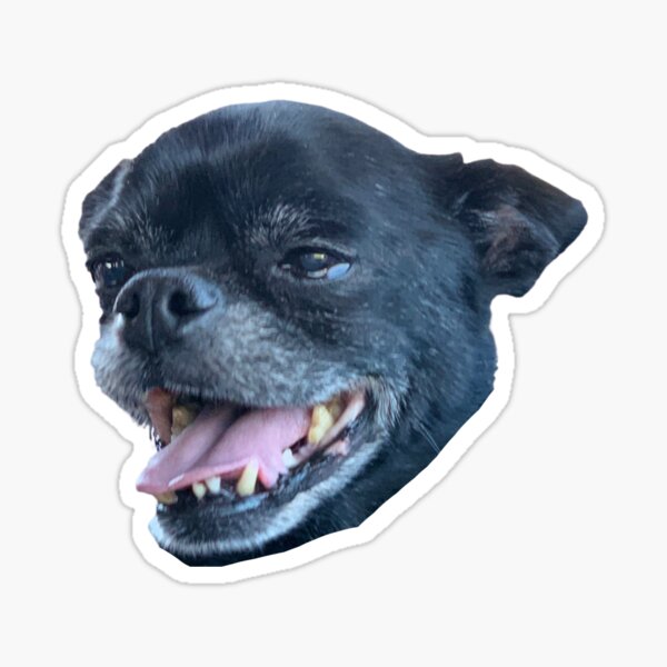 Quavo Merch & Gifts for Sale | Redbubble