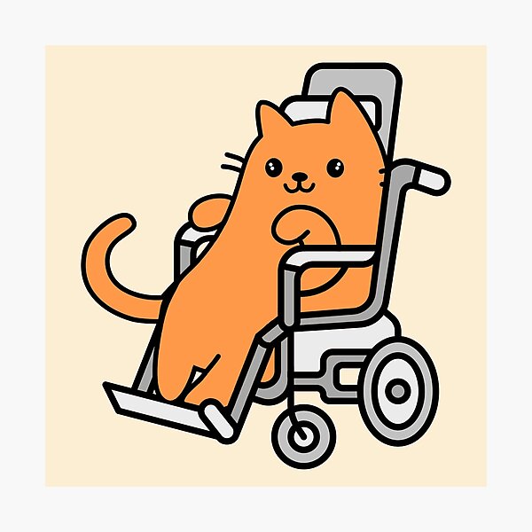"Cute/Kawaii Disabled Orange Cat in a Wheelchair for Disability ...