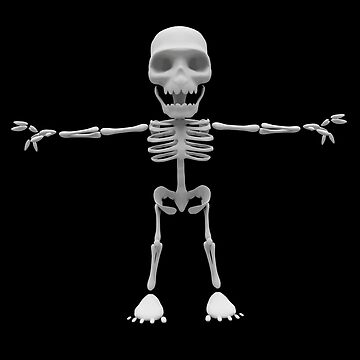"3D Skeleton T-Pose" Art Print for Sale by Biochao | Redbubble